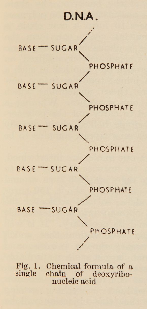 Bonhams : WATSON, JAMES D. B.1928; AND FRANCIS CRICK. 1916-2004 ...