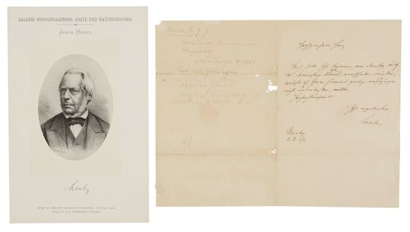 Bonhams : Henle, Friedrich Gustav Jacob. 1809-1885 ANS in German to C ...