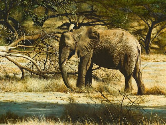 Bonhams : Tony Karpinski (British, born 1965) Elephant in Samburu ...