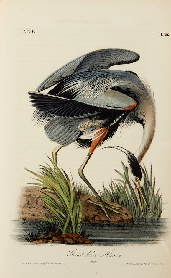 Bonhams : AUDUBON, JOHN JAMES. 1785-1851. The Birds of America, from ...