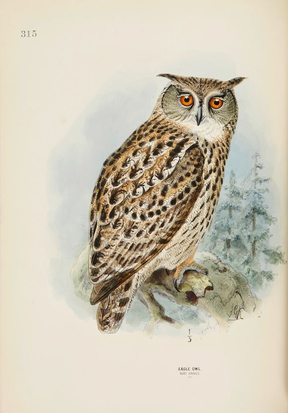 Bonhams : DRESSER, HENRY EELES. 1838-1915. A History of the Birds of ...