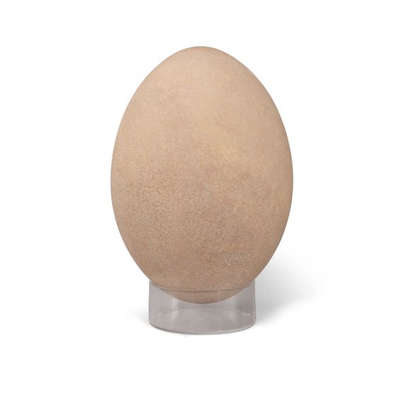 Bonhams : Exquisite, Rare Elephant Bird Egg with Intact Shell