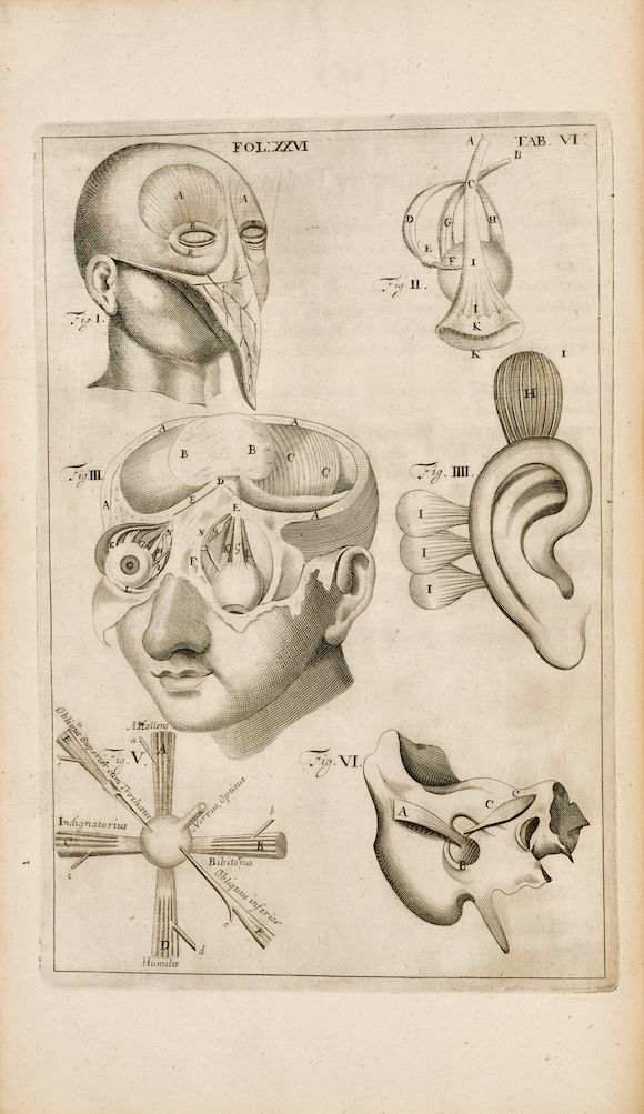Bonhams : BROWNE, JOHN. 1642-1700. A Compleat Treatise of the Muscles ...