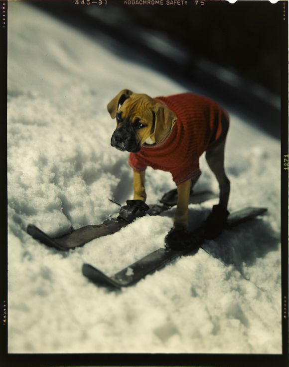 Bonhams : PHOTOGRAPHY: PAUL PARRY ARCHIVE. A collections of ...