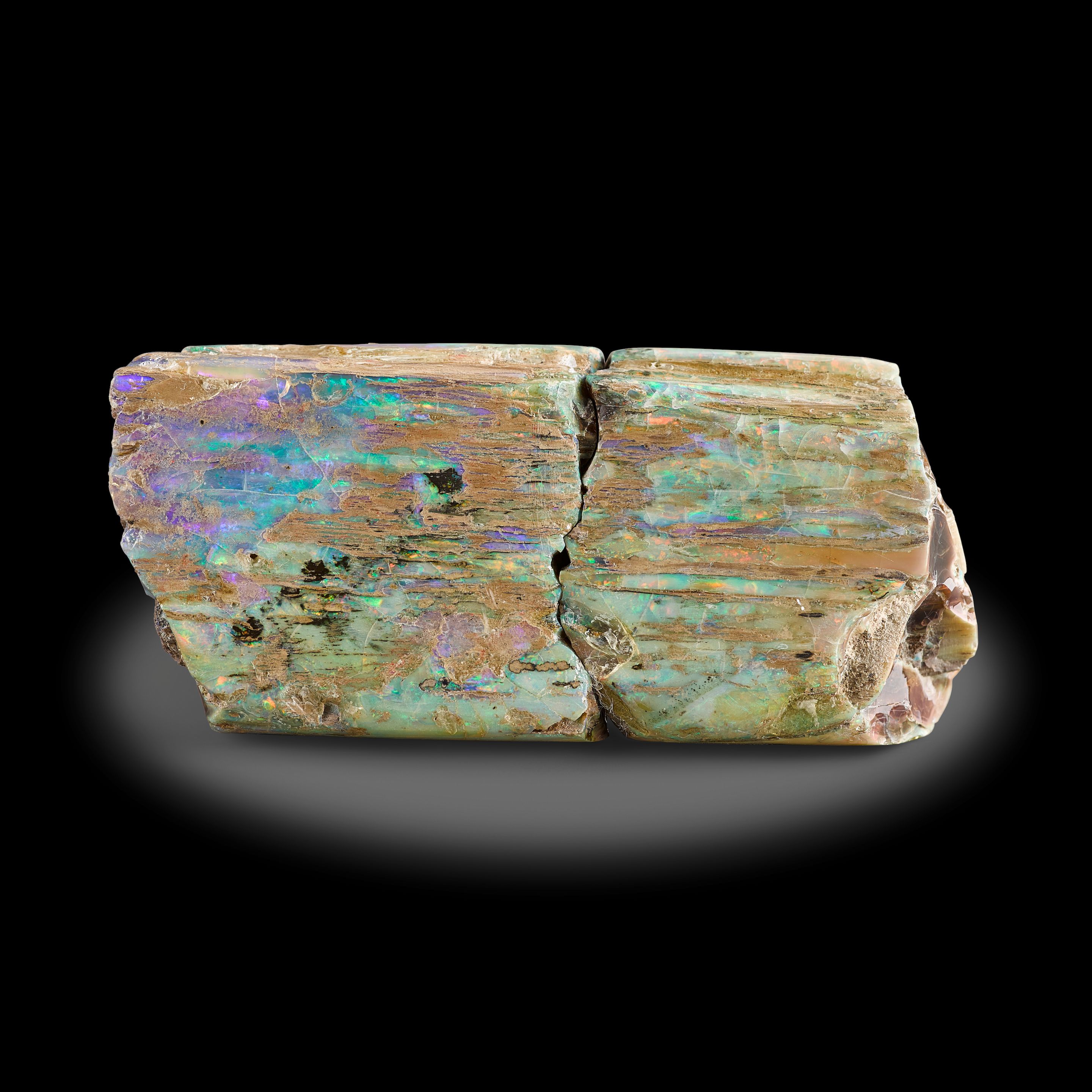 Opalized Limb Cast - auctions & price archive