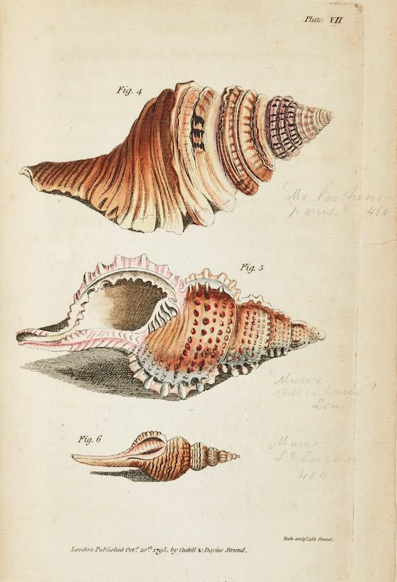 Bonhams : SALIS MARSCHLINS, CARL ULISSES VON. 1762-1818. Travels ...