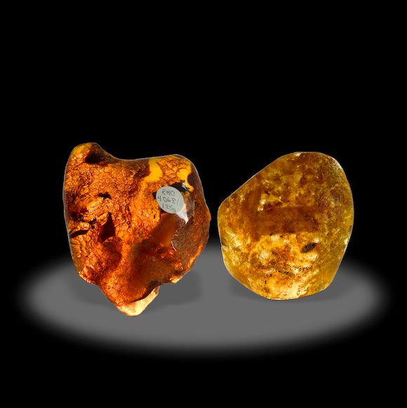 Bonhams : Two Copal Specimens