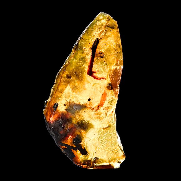 Bonhams : Amber Specimen with Rare Foot Inclusion