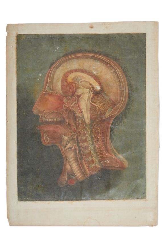 Bonhams : GAUTIER D'AGOTY, JACQUES FABIAN. 1717-1785. Anatomie de le ...