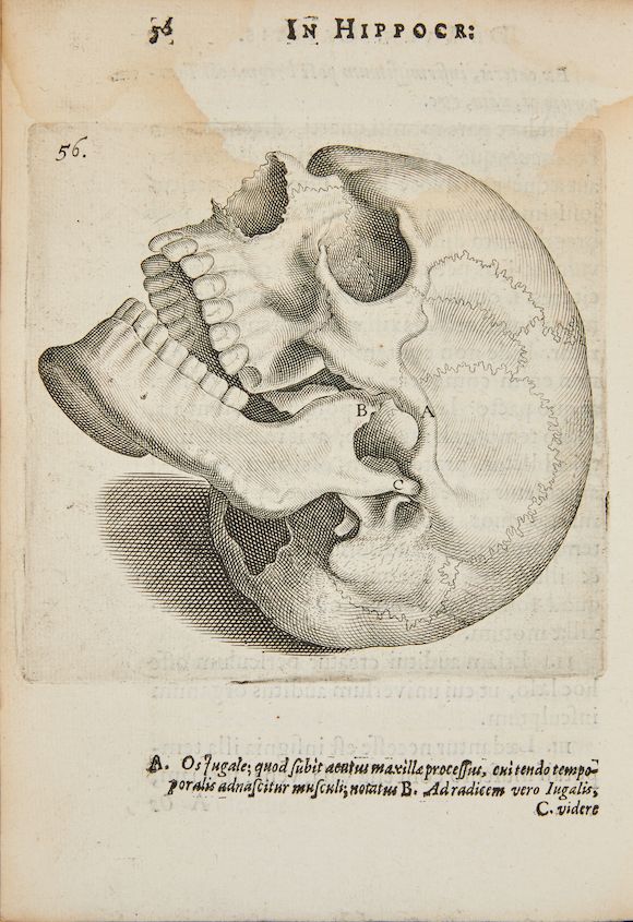 Bonhams : PAAW, PETRUS. Succenturiatus anatomicus continens commentaria ...