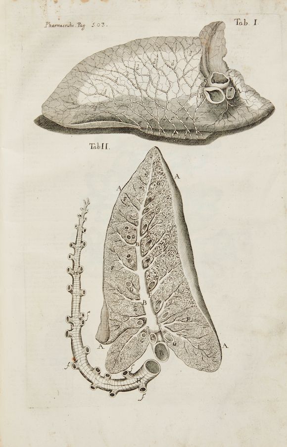 Bonhams : WILLIS, THOMAS. 1621-1675. Opera Omnia. Cologne: Gaspar Stortius, 1694.