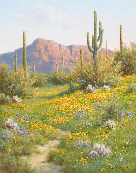 Bonhams : David Chapple (born 1947) The Gift of Rain 20 x 16in framed ...