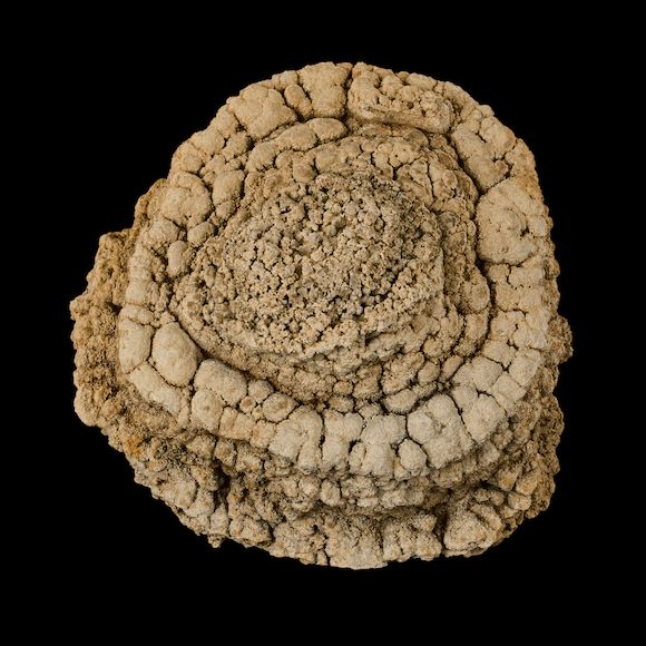 Bonhams : Geyserite from Texas