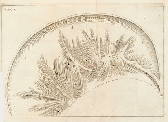 Bonhams : PACCHIONI, ANTONIO. 1665-1726. De durae meningis fabrica ...
