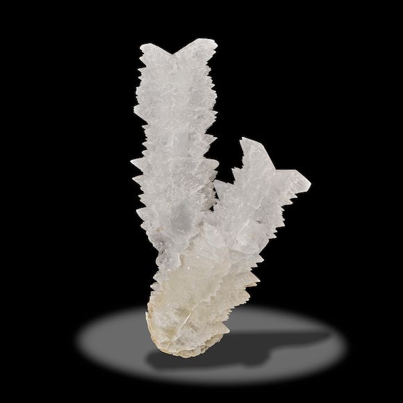 Bonhams : Fish Tail Selenite