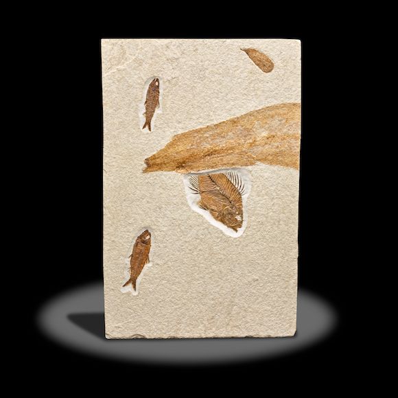 Bonhams : THREE GREEN RIVER FISH AND A BANANA LEAF