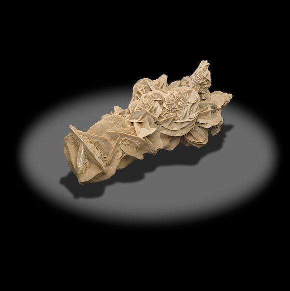 Bonhams : Exceptional "Desert Rose" Sand Selenite Display Specimen