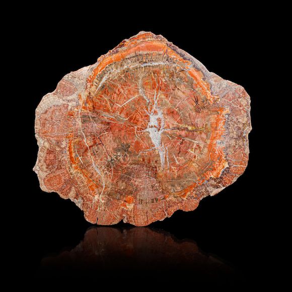 Bonhams : Red Petrified Wood Slab