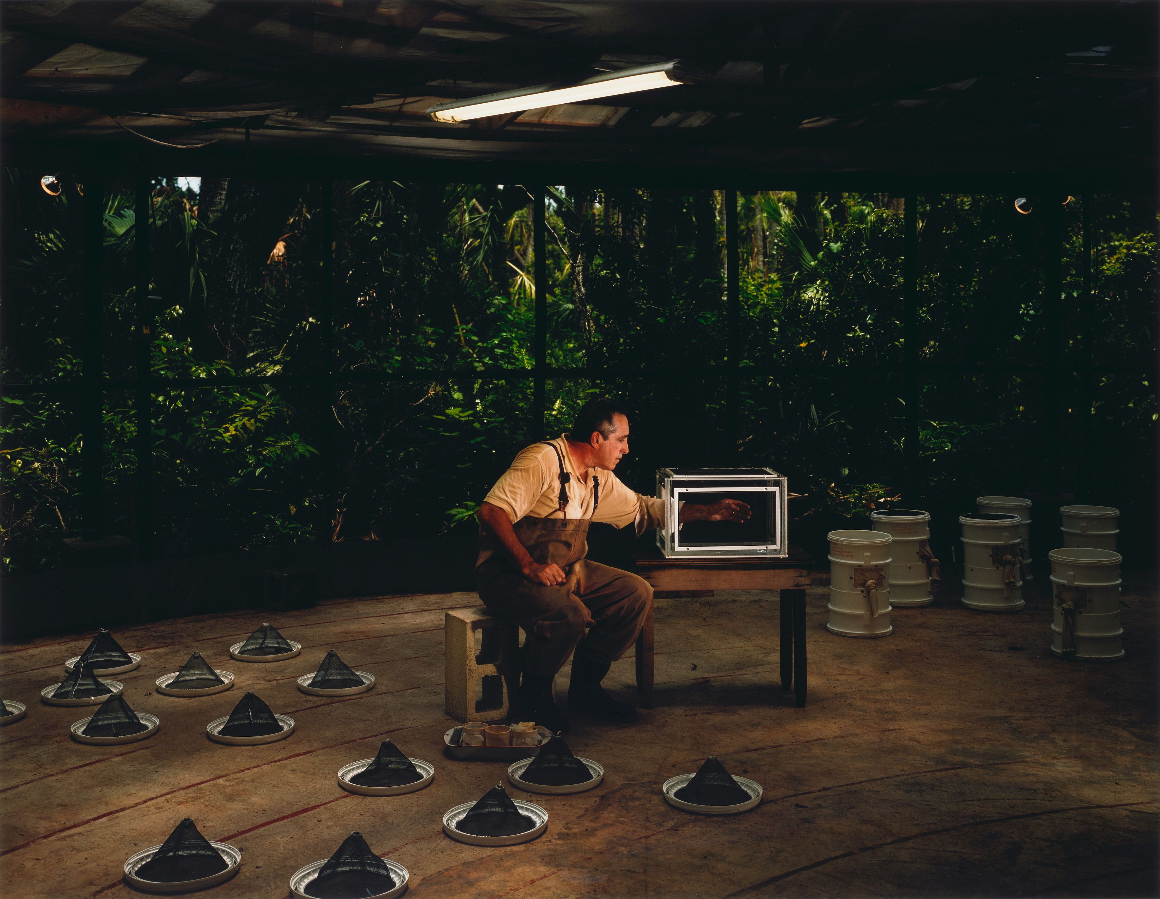 Bonhams : Taryn Simon; Florida Medical Entomology Laboratory, The ...