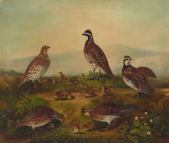 Bonhams : Alfred J. Crook (British, 19th Century) Nesting grouse 25 x ...