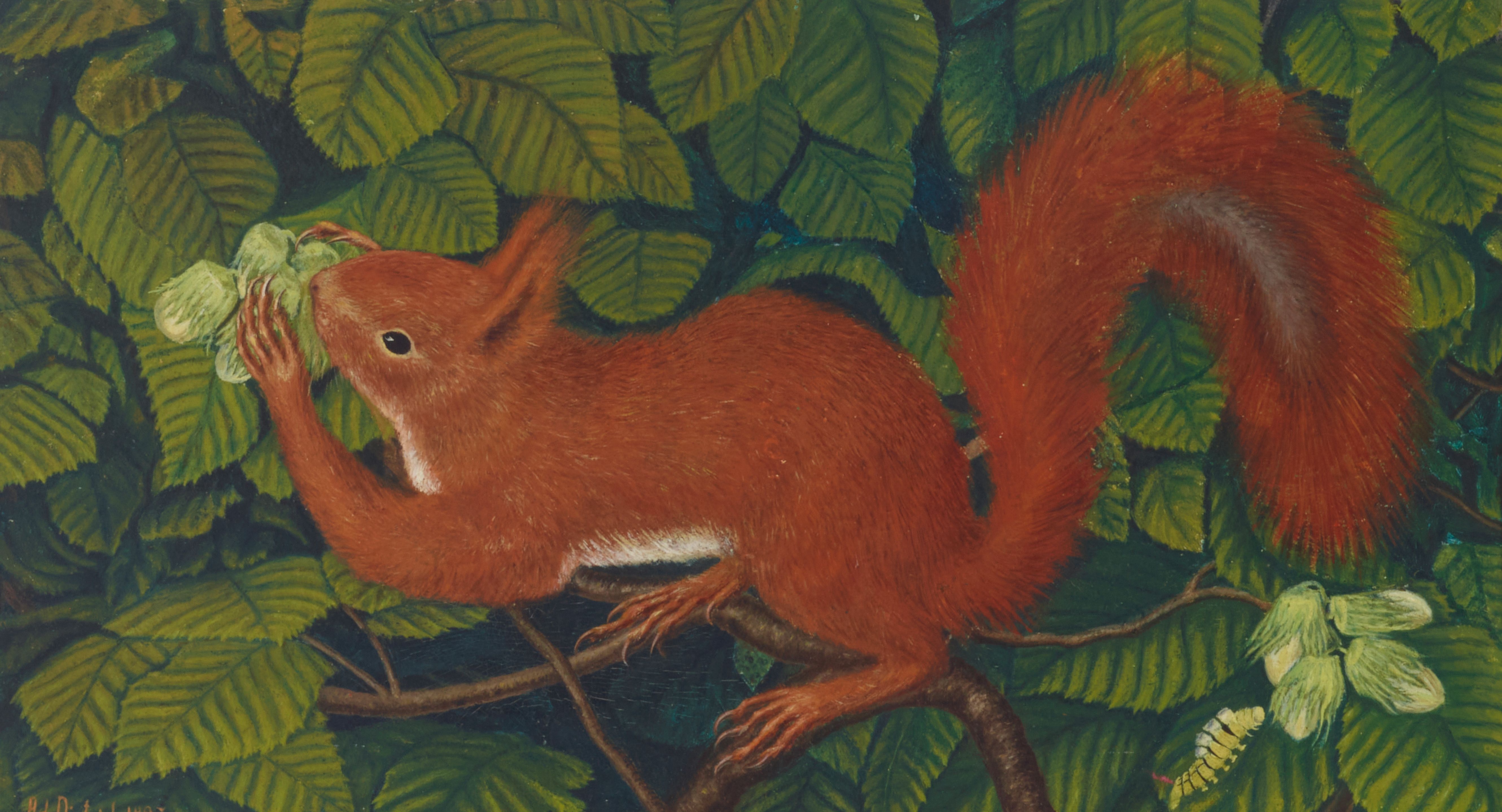 Bonhams : Adolf Dietrich (Swiss, 1877-1957) A squirrel and a ...