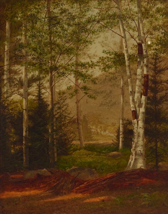 Bonhams : Edith Cook (died 1902) Birch Tree Landscape 20 1/2 x 16 in ...