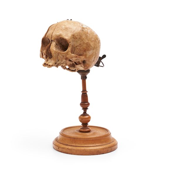 Bonhams Skinner : Bisected Skull for Teaching,