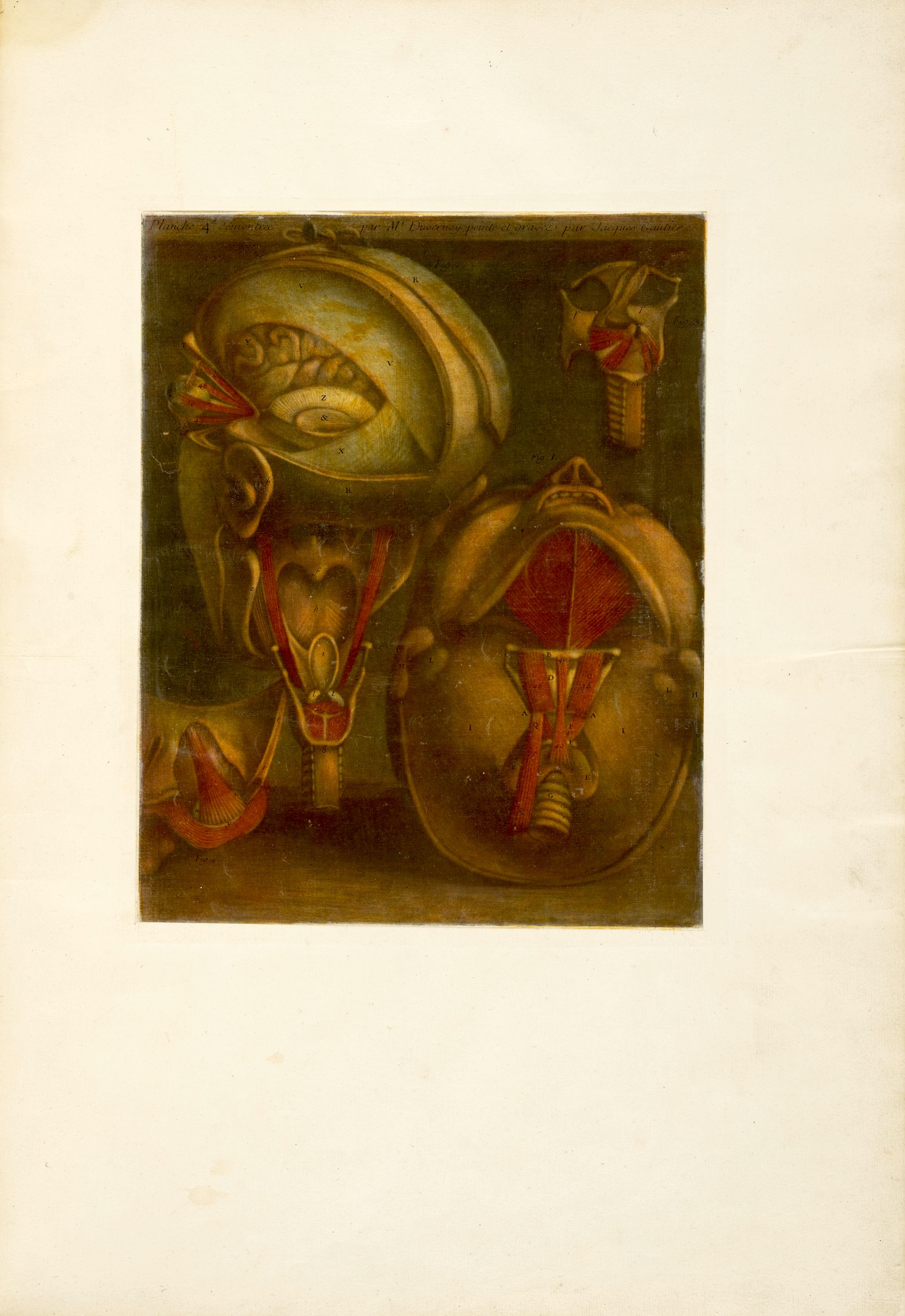 Bonhams : GAUTIER D'AGOTY, JACQUES FABIEN. 1716-1785. Myologie ...