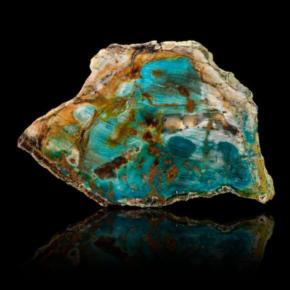 Bonhams : Petrified "Colla" Wood Slab