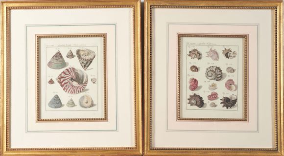 Bonhams Skinner : Set of Four Framed Shell Engravings, 19th century,