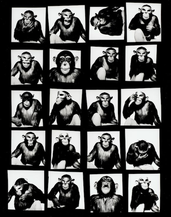 Bonhams : Albert Watson (born 1942); Monkey with Mask Contact Sheet;