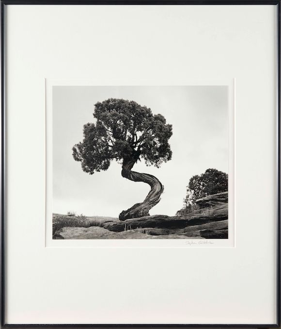 Bonhams Skinner : Stephen Ross Goldstein (20th/21st Century); Piñon ...