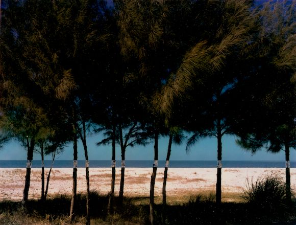 Bonhams : John Pfahl (1939-2020); 'Australian Pines, Fort DeSoto ...