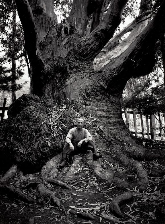 Bonhams : Ansel Adams (1902-1984); Edward Weston, Carmel Highlands;