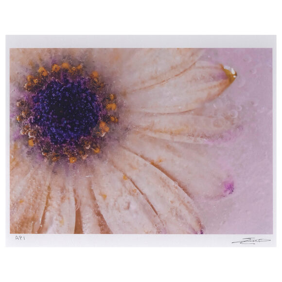 Bonhams : KHODR CHERRI (B. 1968) Frozen in Time, 2022 (This work is an ...