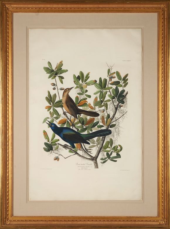 Bonhams Skinner : JOHN JAMES AUDUBON (American, 1785-1851) A Boat ...