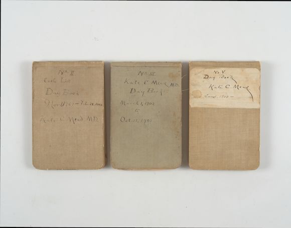 Bonhams Skinner : AUTOGRAPH DAY BOOKS OF DR. KATE CAMPBELL MEAD. HURD ...