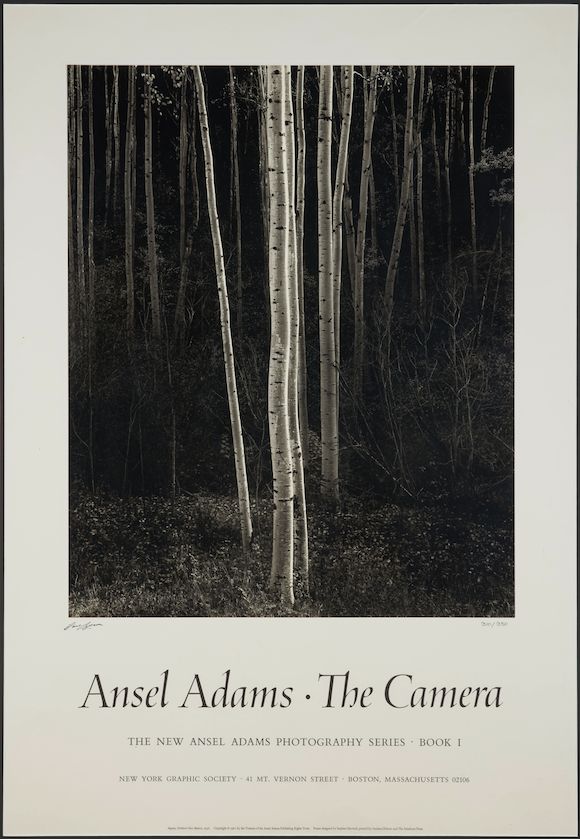 Bonhams Skinner : Ansel Adams (1902-1984); Aspens, Northern New Mexico;