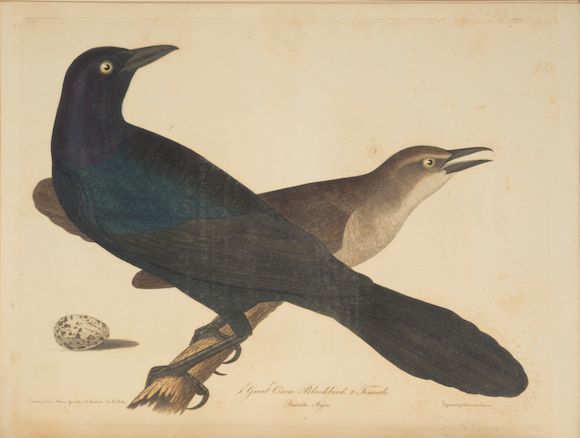 Bonhams : FIRST APPEARANCE IN PRINT OF AN BIRD ENGRAVING DRAWN BY ...