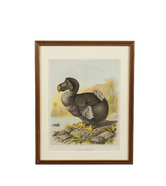 Bonhams Skinner : BIRD PRINTS. A group of two American imprints of ...