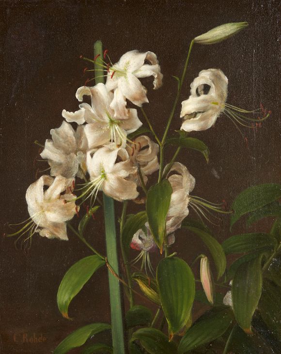 Bonhams Skinner : Carl Rohde (German, 1840-1891) Still Life with White ...