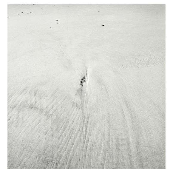 Bonhams Skinner : Harry Callahan (1912-1999); Cape Cod;