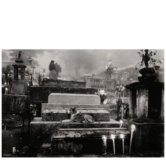 Bonhams : Sebastião Salgado (1944-2025); Untitled (Dog in Cemetery ...