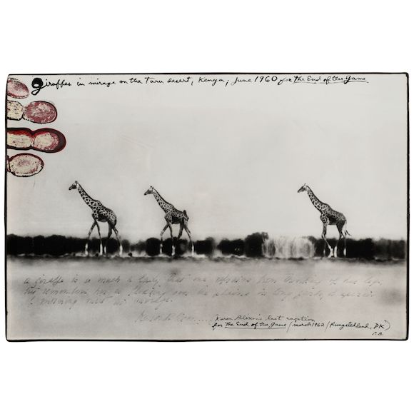 Bonhams : Peter Beard (1938-2020); 'Giraffes in mirage on the Taru ...